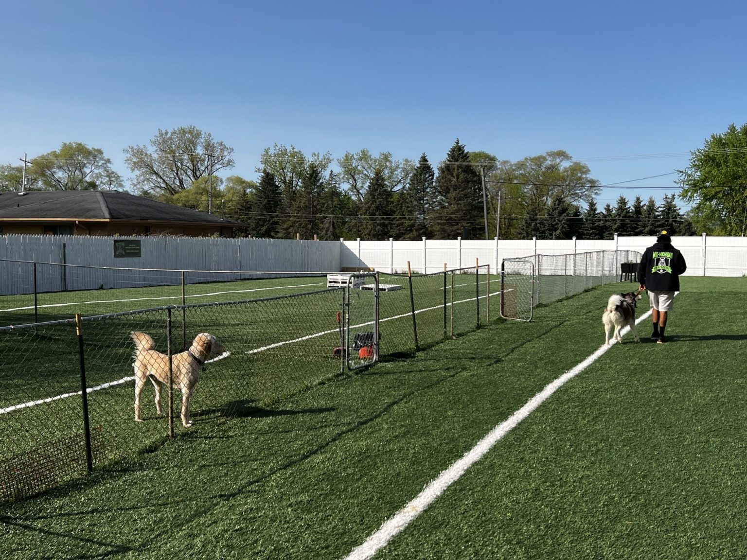 Dog Classes Near Me Beverly Hills, MI - Mid-Michigan K9 Academy